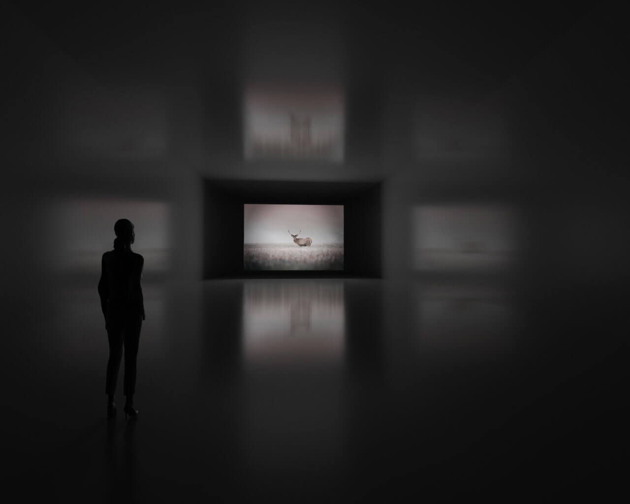 Exploring ourselves through technology – A critical eye from three art ...